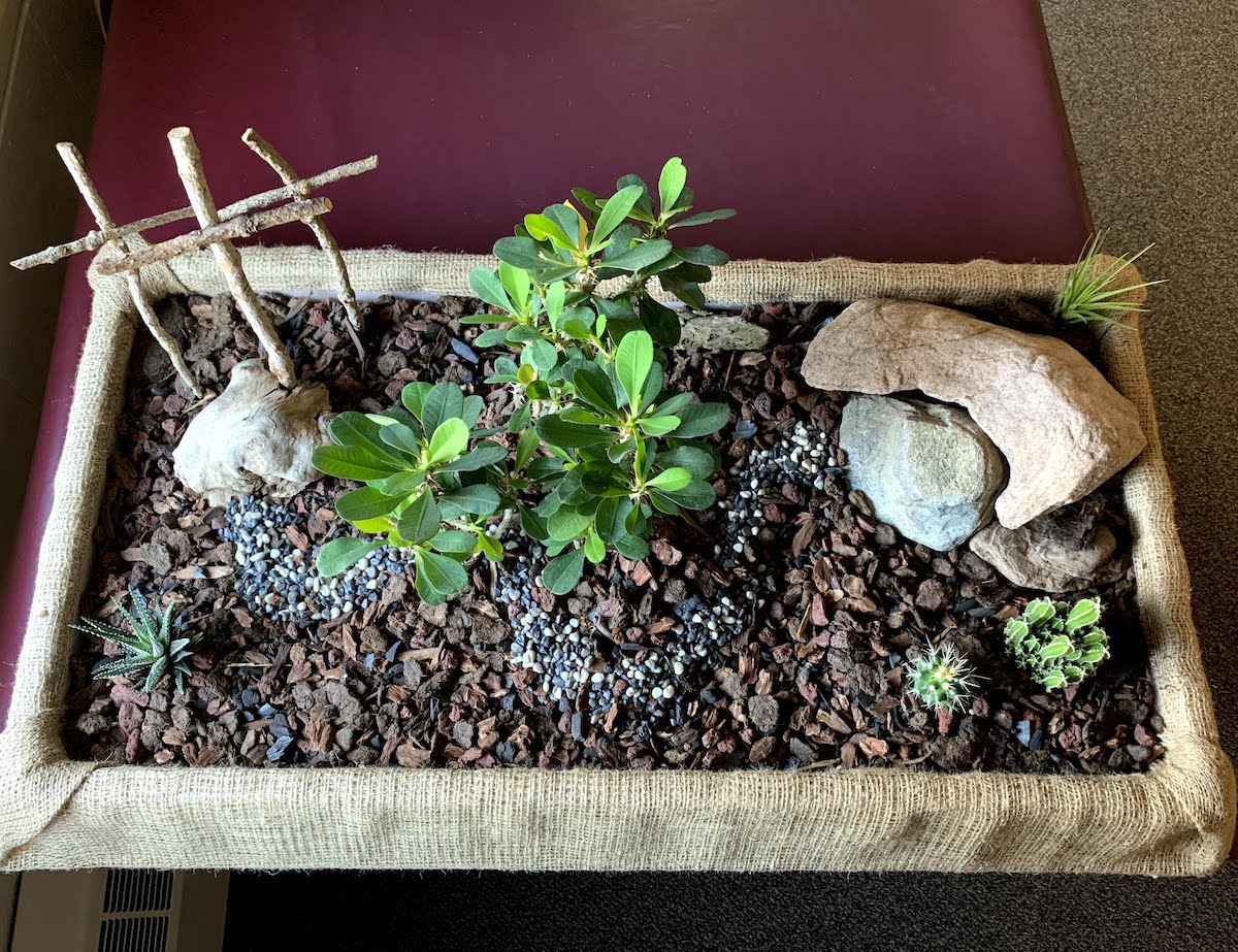 Lent 3 – Prayers and Message – St. George's Anglican Church